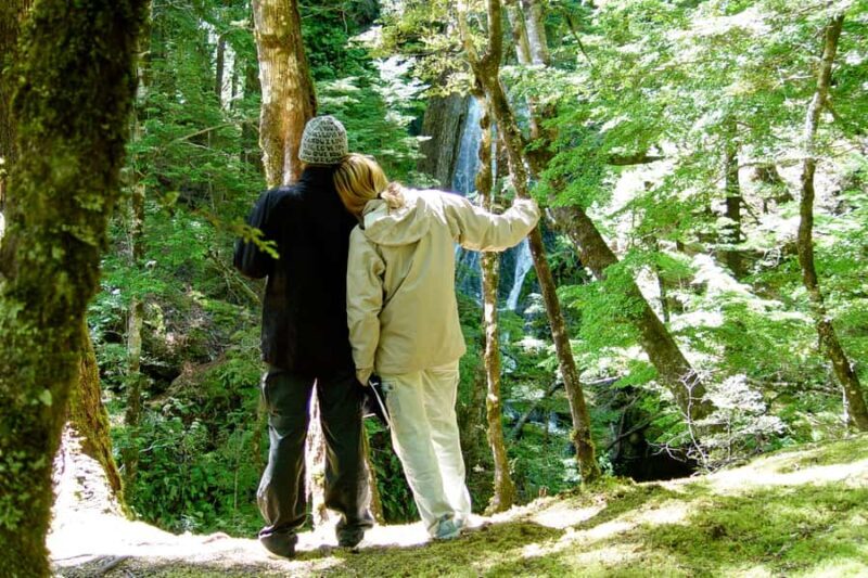 Wanaka: Jet Boat & Wilderness Walk - Key Points