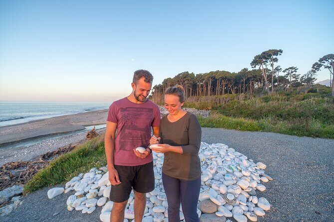 Wanaka to Franz Josef Small-Group Tour (One Way) Includes Lunch - FAQ