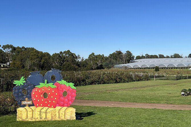 Wander the Tamar Valley - A Detailed Breakdown of the Tamar Valley Tour