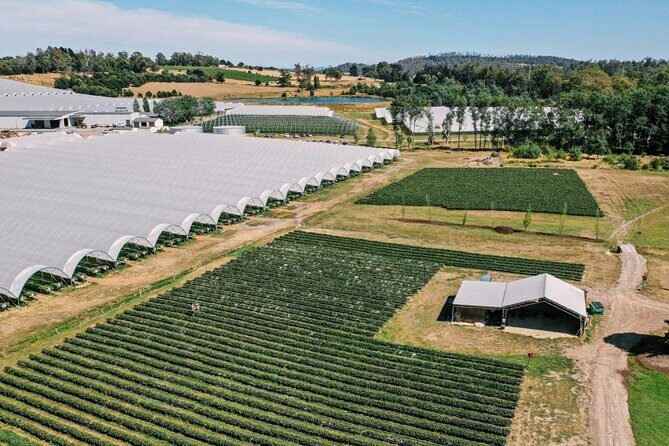 Wander the Tamar Valley - Frequently Asked Questions