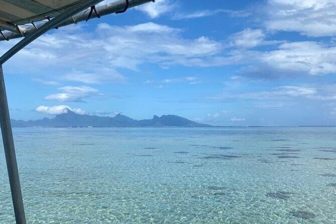 Want to escape? Treat yourself to a snorkeling session in Tahiti! - Authenticity and Local Flavor