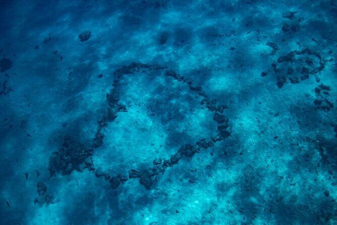 Want to escape? Treat yourself to a snorkeling session in Tahiti! - The Sum Up