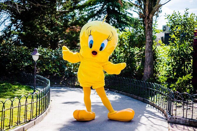 Warner Park Madrid Admission Ticket - The Visitor Experience: Authentic Insights