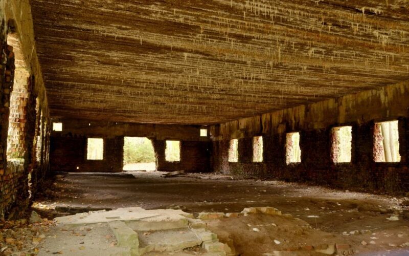 Warsaw: Private Full-Day Wolf's Lair Tour - The Practicalities: What You Need to Know