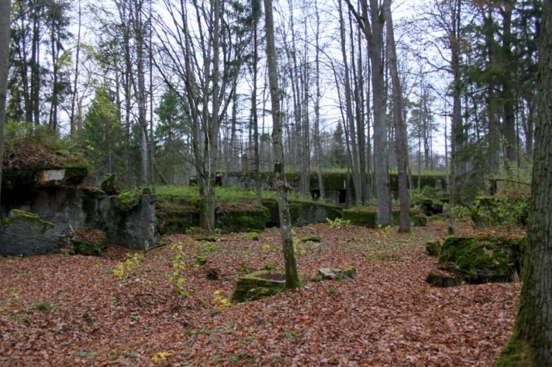 Warsaw: Private Full-Day Wolf's Lair Tour - Authentic Experiences and Insights from Reviews