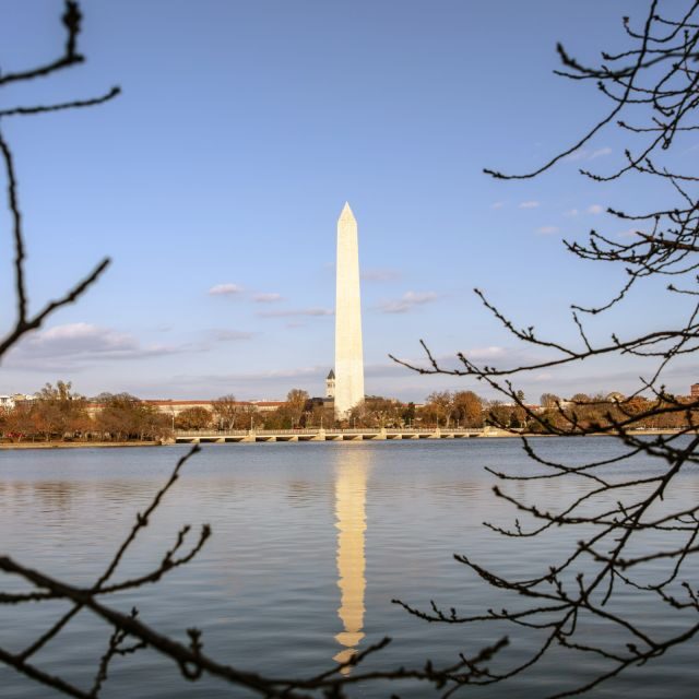 Washington: Cherry Blossom Tour - What Makes This Tour Stand Out?