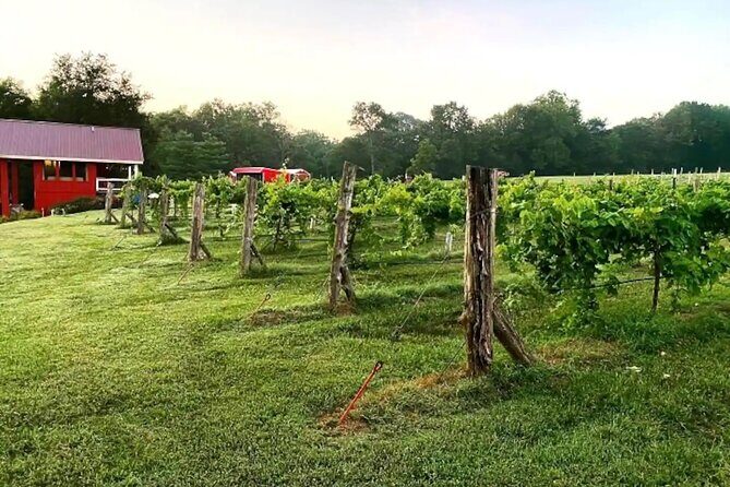 Washington County Wednesday Winehop and Bingo Cruise - Is This Tour Worth It?