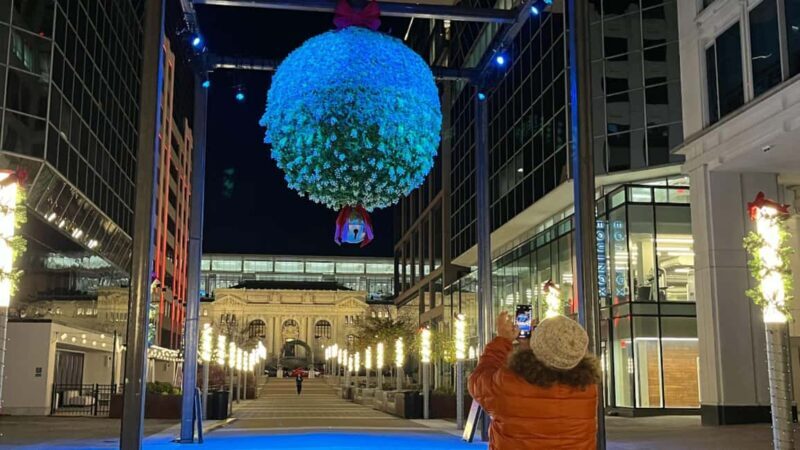 Washington, DC: Christmas Tree & Holiday Lights Bus Tour - Key Points