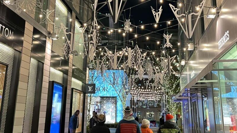 Washington, DC: Christmas Tree & Holiday Lights Bus Tour - The Tour: A Step-by-Step Breakdown