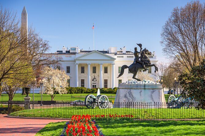 Washington DC Highlights: Private Half-Day Tour - A Practical Look at the Washington DC Highlights Private Tour
