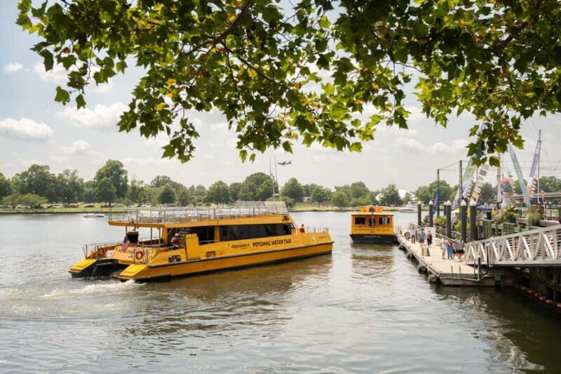 Washington DC: Potomac Cruise and Georgetown Walking Tour - Why This Tour Works for Different Travelers