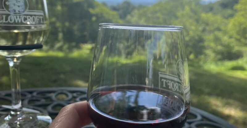 Washington, DC: Virginia Wine Region Experience Tour - An In-Depth Look at the Virginia Wine Region Experience Tour