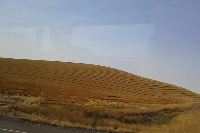 WASHINGTON ST AGRICULTURE, Apples & Irrigation - Frequently Asked Questions  