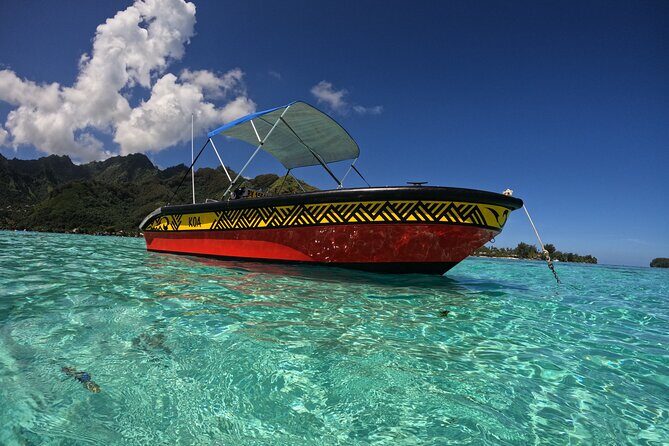 Watch and Swim with Humpback Whales in Moorea - The Practical Side: Booking, Cost, and Availability