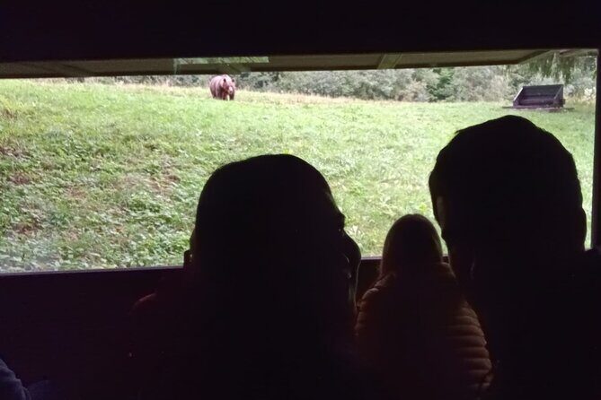 Watching Brown Bear from hideout/ Guarantee you'll see wild Bears - Key Points