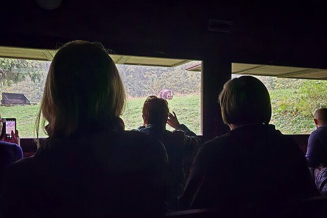 Watching Brown Bear from hideout/ Guarantee you'll see wild Bears - Detailed Breakdown of the Itinerary