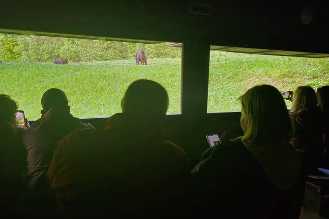 Watching Brown Bear from hideout/ Guarantee you'll see wild Bears - Assessing the Value