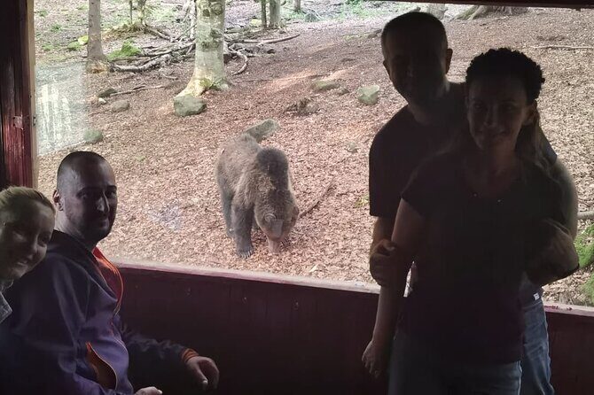 Watching Brown Bear from hideout/ Guarantee you'll see wild Bears - FAQ