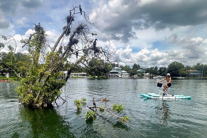 Water Bike Rental in Crystal River - FAQ