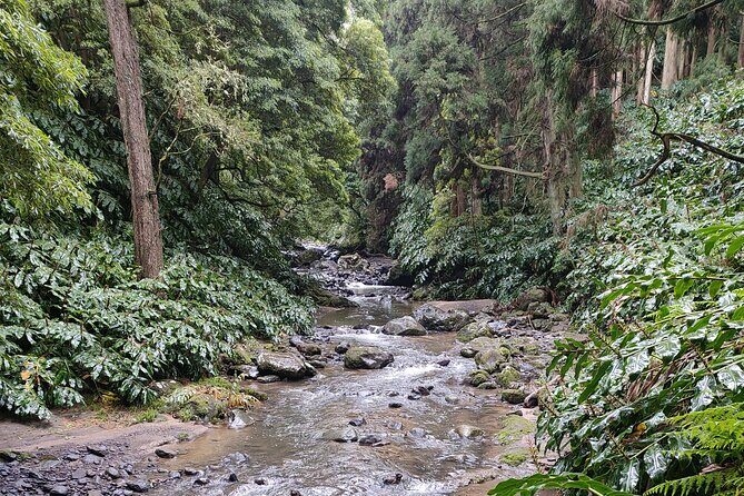 water Falls route - Introduction: An Authentic Waterfalls Adventure in Sao Miguel