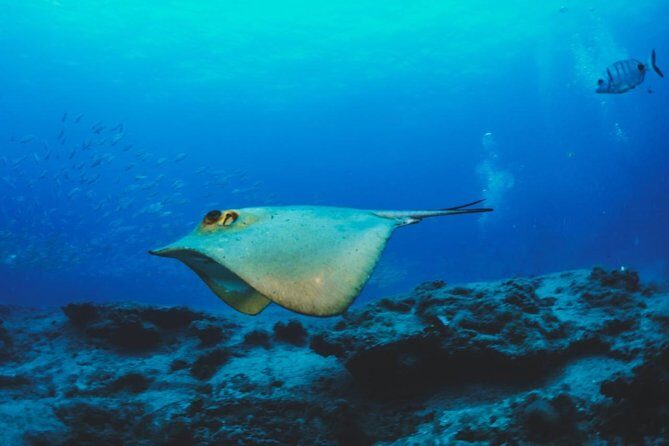 Water Taxi Lobos Island - Final Thoughts