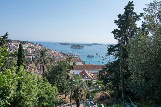 Water Taxi Ride from Hvar to Split Airport - Water Taxi Ride from Hvar to Split Airport: An Insider’s Look