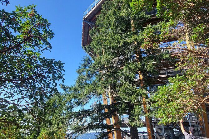 Waterfall, Skywalk, Lagoon Picnic, Castle and Whales in Victoria - The Sum Up