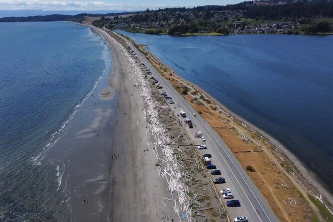 Waterfall, Skywalk, Lagoon Picnic, Castle and Whales in Victoria - FAQ