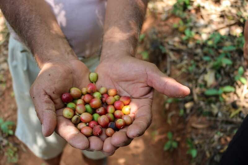 Waterfalls, Coffee and Adventure Tour, Huatulco - Practical Tips for the Tour