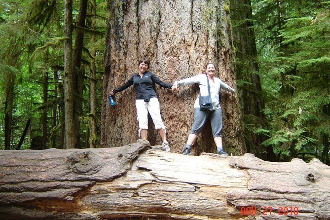 Waterfalls, Coombs and Cathedral Grove Rainforest Tour - Waterfalls, Coombs and Cathedral Grove Rainforest Tour — An Authentic Vancouver Island Experience