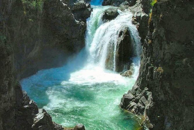 Waterfalls, Coombs and Cathedral Grove Rainforest Tour - Key Points