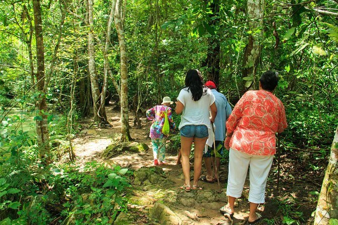 Waterfalls & Nature Day-Trip Experience - Is It Worth the Price?