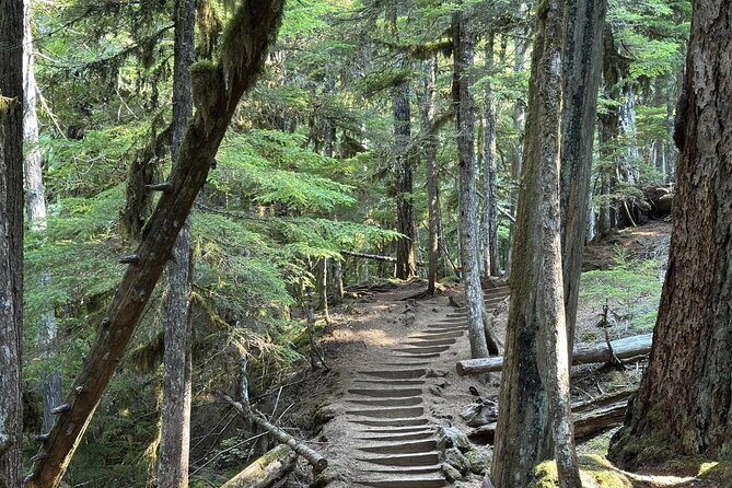 Waterfalls & the McKenzie River in a Tesla - FAQ