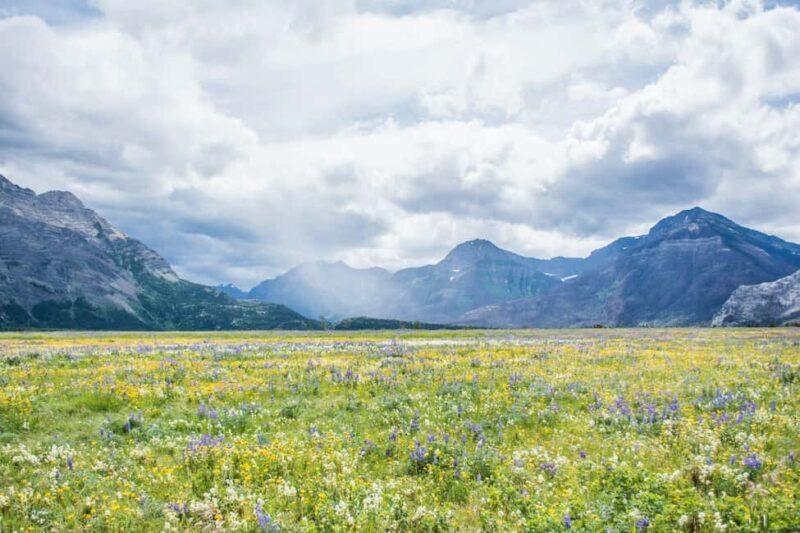 Waterton National Park: Lakes & Mountains Day Tour - FAQs