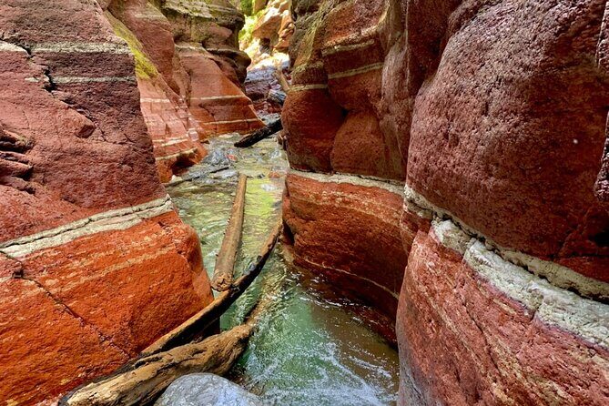 Waterton National Park Premium Day Tour - Authentic Experiences from Reviews