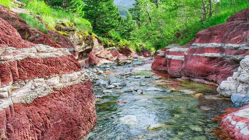 Waterton's Wild Beauty: A Hidden Gem in the Rockies - What Reviewers Say
