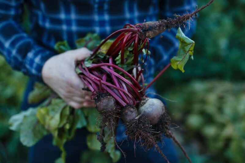 Watervale Hotel : 2-Course Dining Experience with Riesling - A Quick Look at the Experience