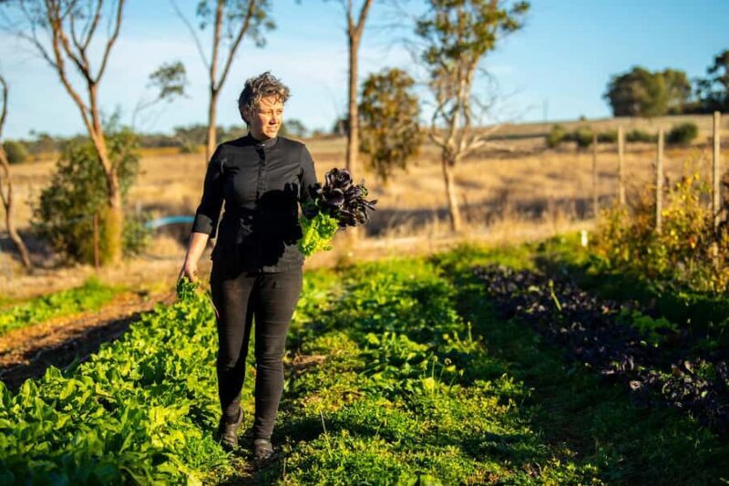 Watervale: Penobscot Farm Tour with Chef and 5-Course Lunch - The 4-Course Feed Me Menu