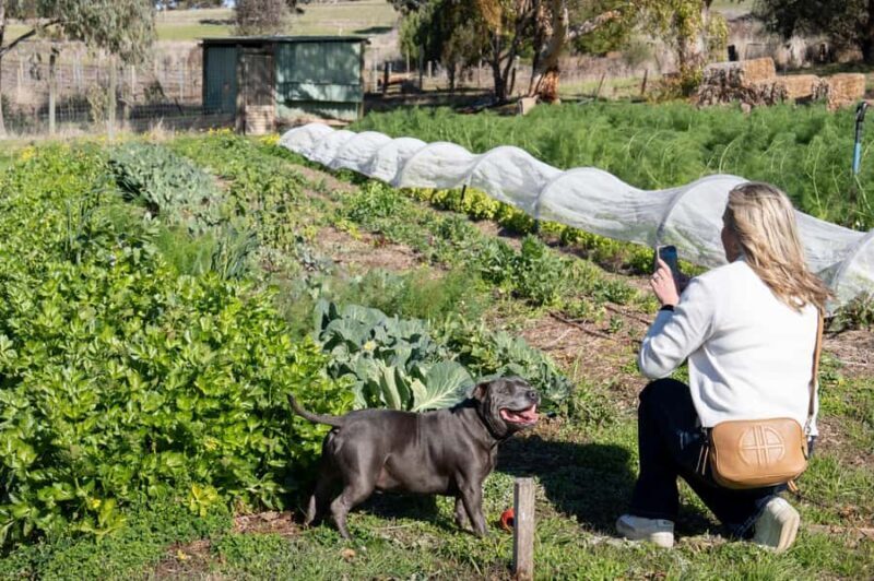 Watervale: Penobscot Farm Tour with Chef and 5-Course Lunch - Who Would Enjoy This Tour?