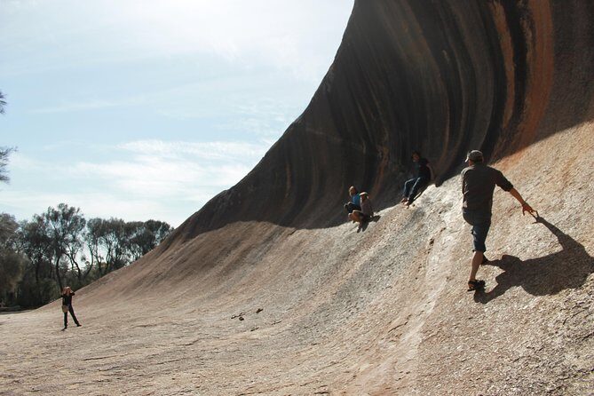 Wave Rock and Pinnacles Air & Ground Tour - Who Will Love This Tour?