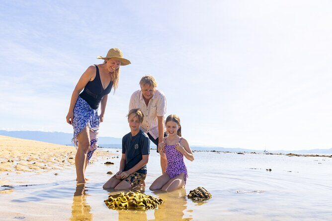 Wavedancer Low Isles Great Barrier Reef Sailing Cruise - Wavedancer Low Isles Great Barrier Reef Sailing Cruise Review