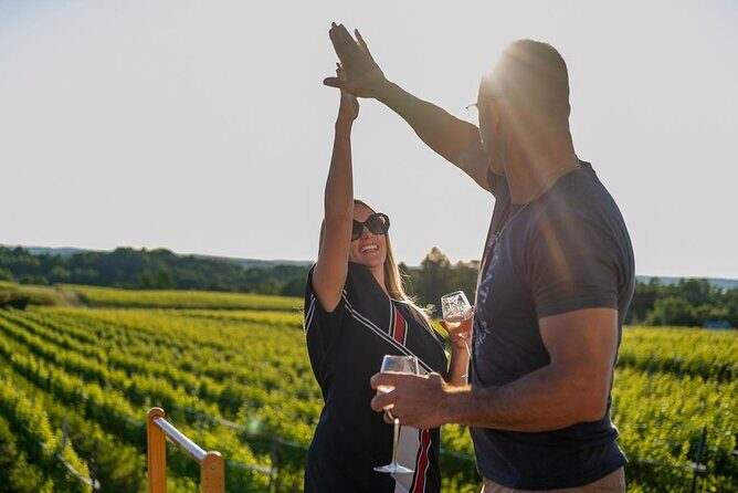 Wedding Anniversary Traverse City Old Mission Peninsula Wine Tour - Key Points