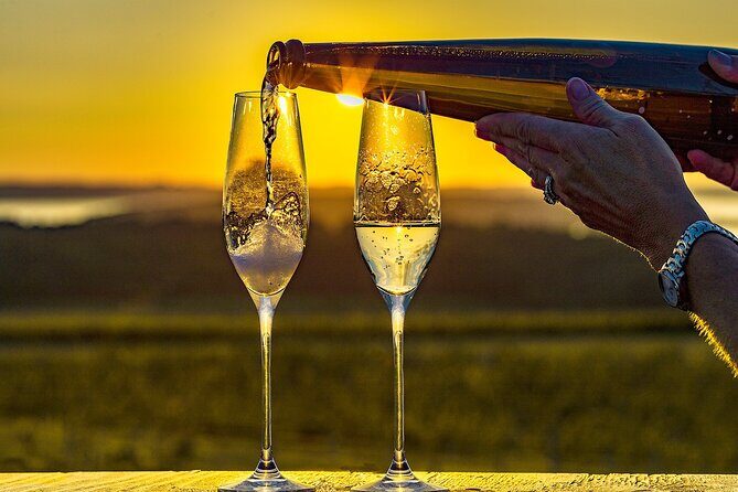 Wedding Anniversary Traverse City Old Mission Peninsula Wine Tour - Why This Tour Is Worth It