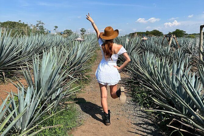 Weekend Entre to Charros Mariachi Tequila and Guachimontones - Final thoughts: Who benefits most?