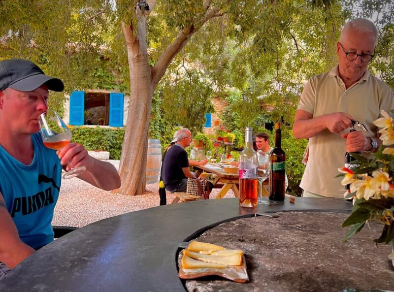 Weinsonntag auf Mallorca - The Sum Up: Who Is This Tour Best For?