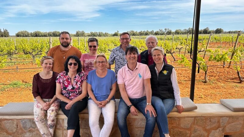 Weinsonntag auf Mallorca - FAQ