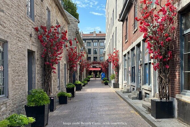 Welcome to Montreals Old Town: Private 2-hour Walking Tour - Frequently Asked Questions