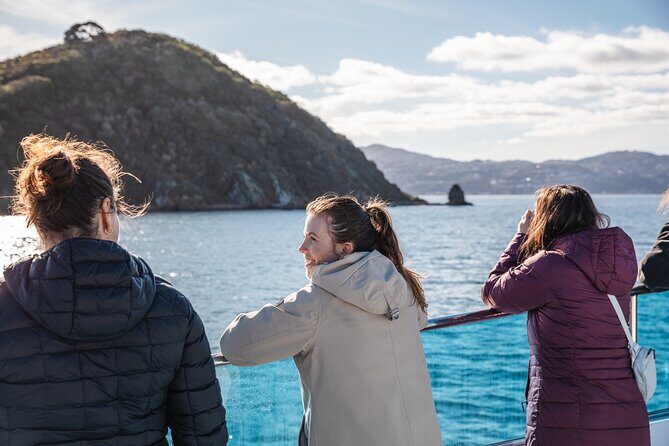 Wellington 90 minute Harbour Cruise - What to Expect from the Itinerary