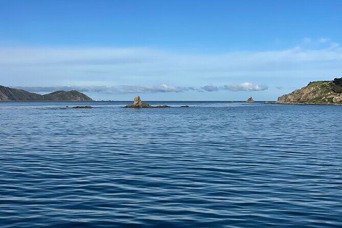 Wellington 90 minute Harbour Cruise - What If the Weather Isn’t Ideal?