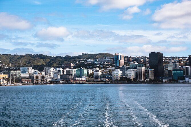 Wellington 90 minute Harbour Cruise - Why This Tour Offers Good Value